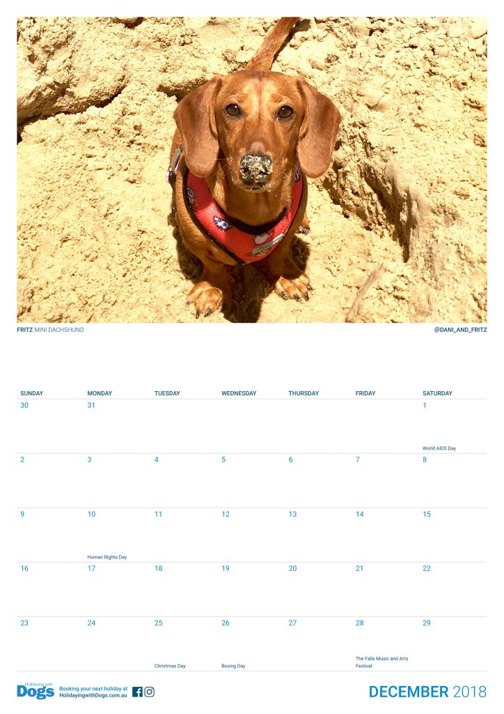 2018 Holidaying with Dogs Calendar - Holidaying With Dogs