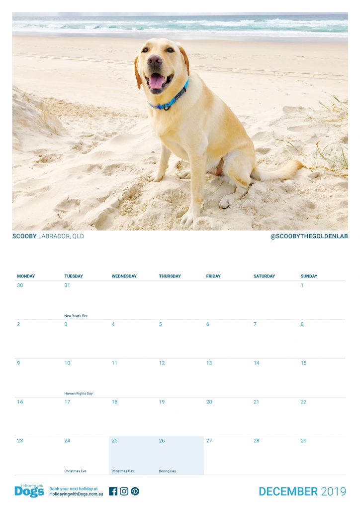 2019 Holidaying with Dogs Calendar - Holidaying With Dogs