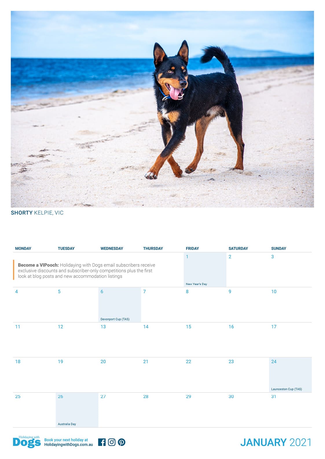 2021 Holidaying with Dogs Calendar - Holidaying With Dogs