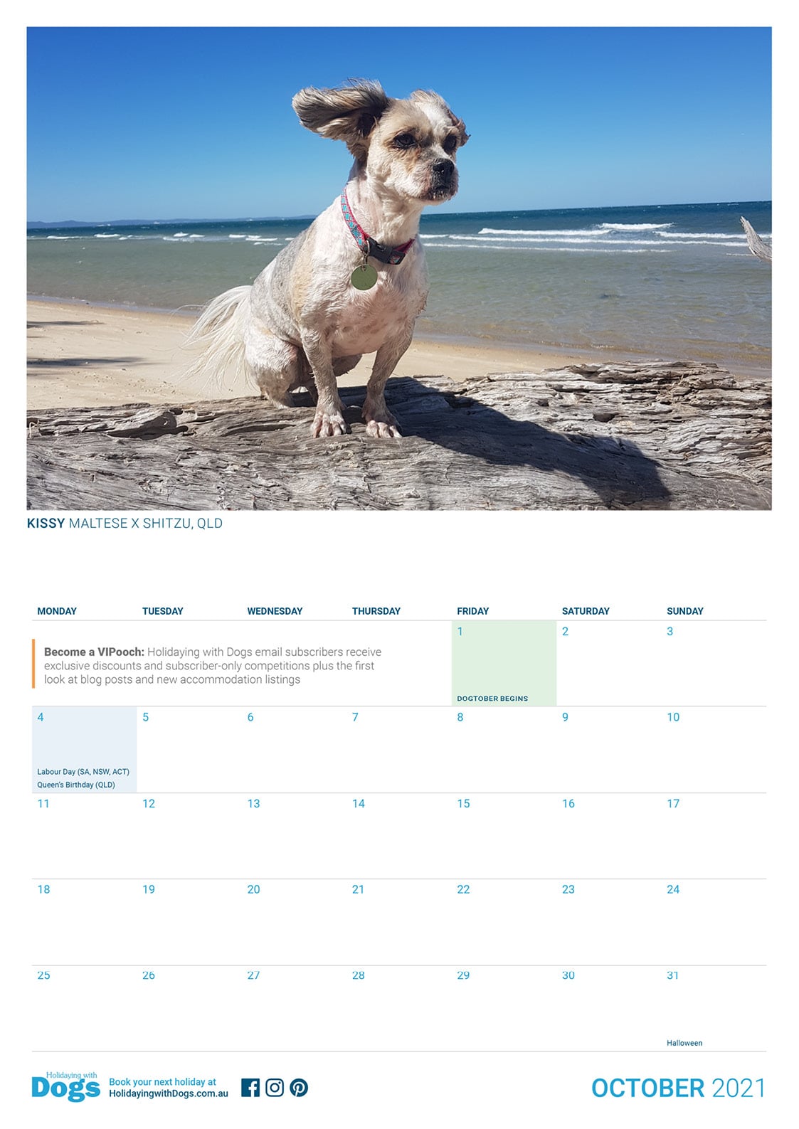 2021 Holidaying with Dogs Calendar - Holidaying With Dogs