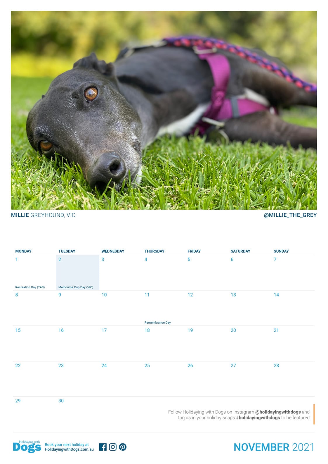 2021 Holidaying with Dogs Calendar - Holidaying With Dogs