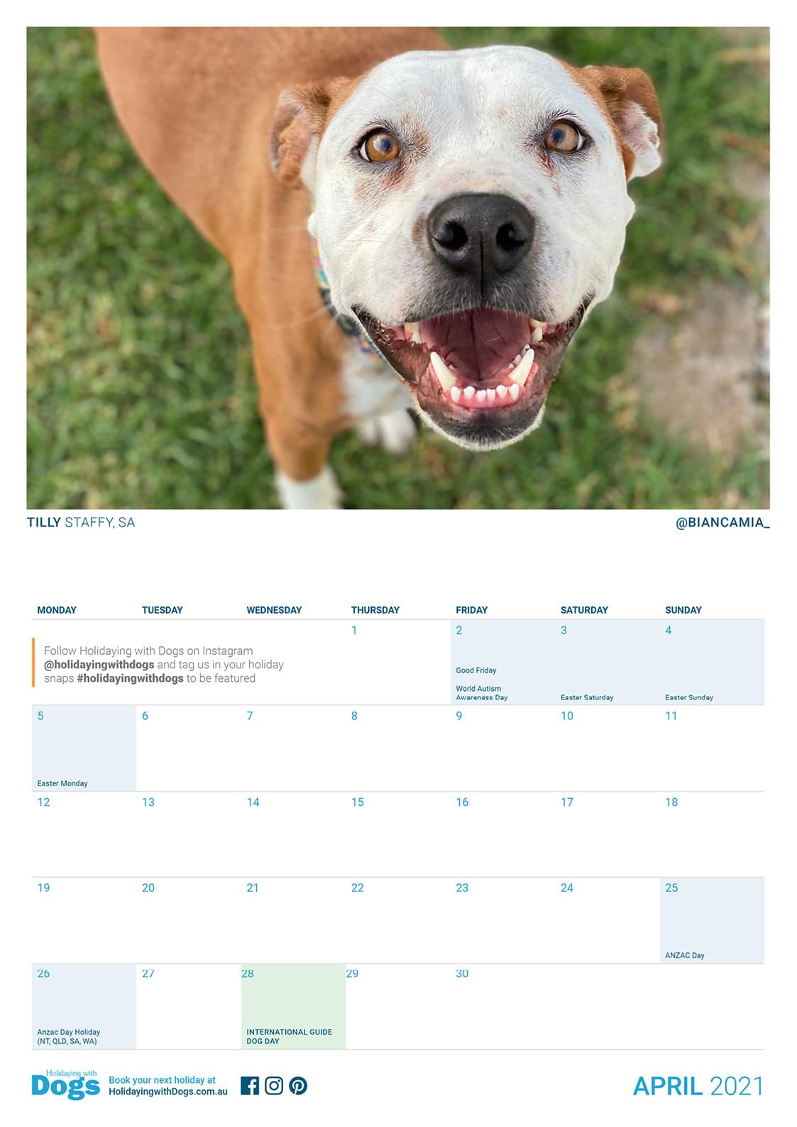 2021 Holidaying with Dogs Calendar - Holidaying With Dogs