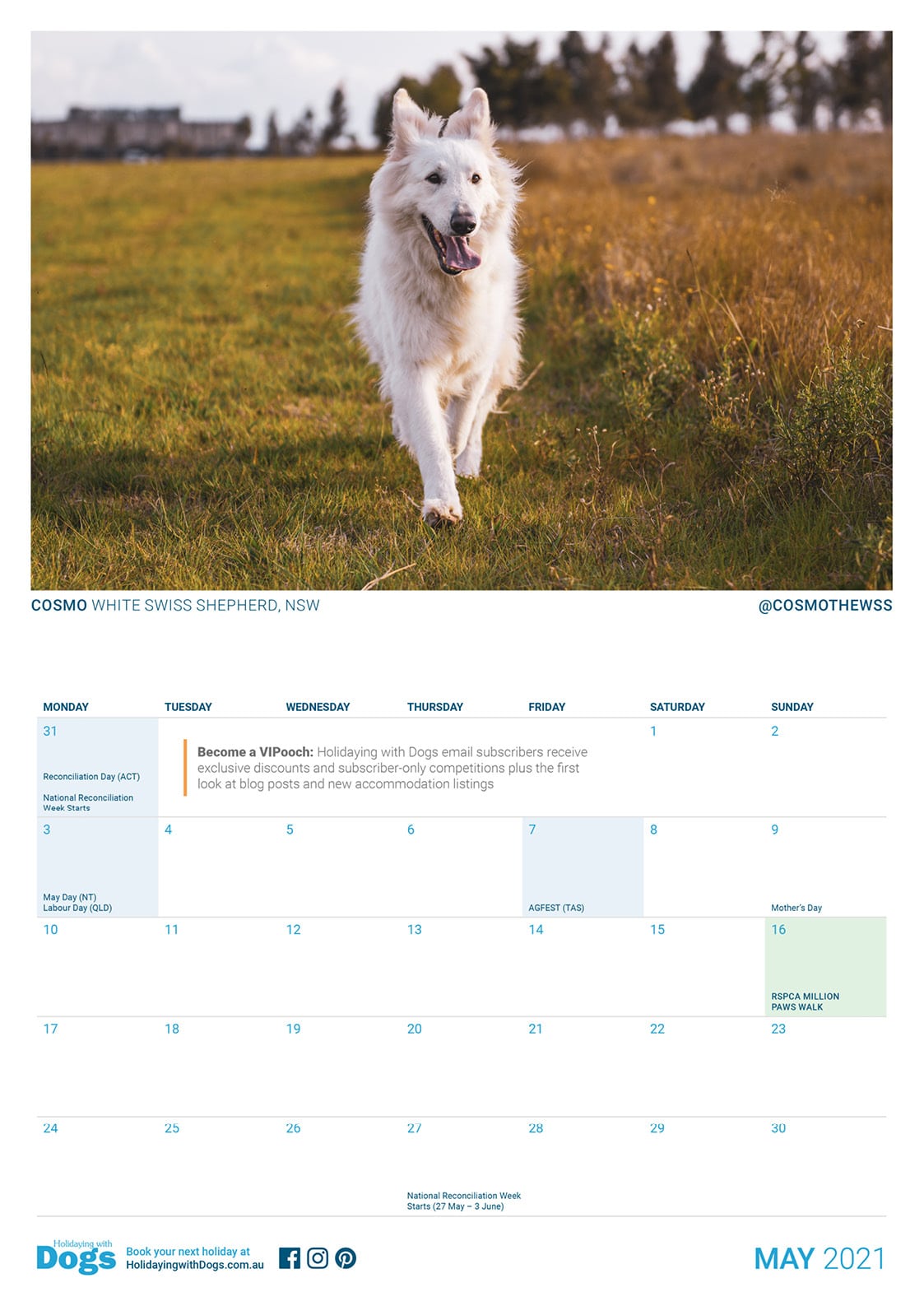 2021 Holidaying with Dogs Calendar - Holidaying With Dogs