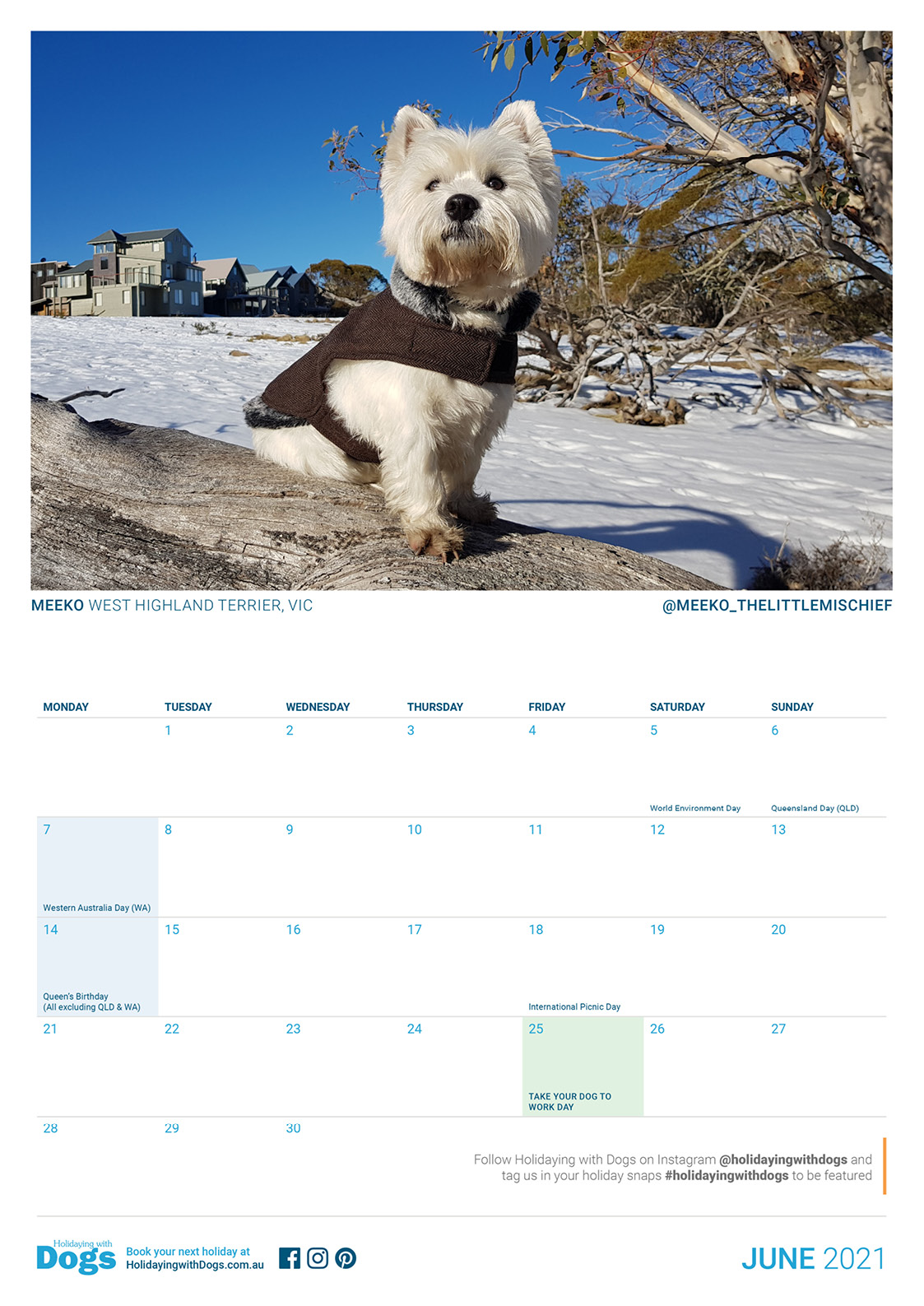2021 Holidaying with Dogs Calendar - Holidaying With Dogs